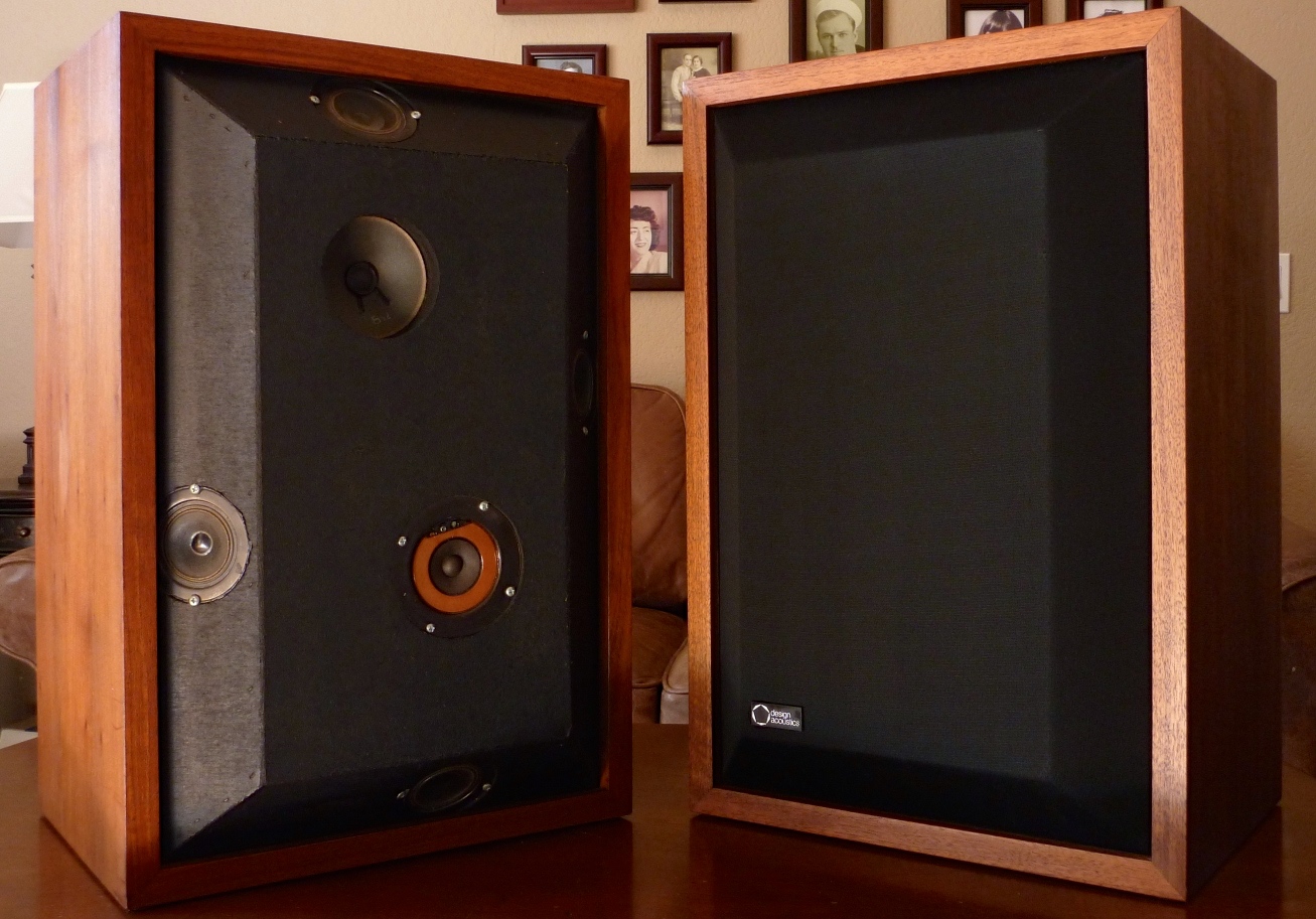Design Acoustics D-6 | Revolution Sounds